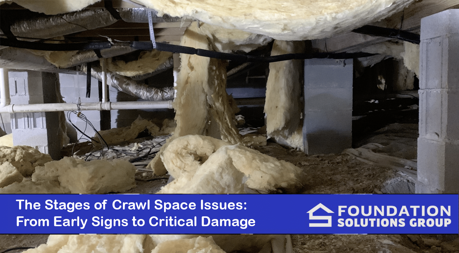 Stages of Crawl Space Damage: From Early Signs to Critical Issues